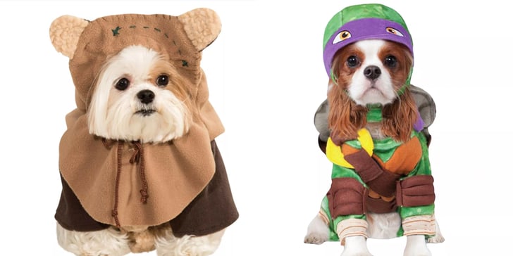 Best Target Pet Halloween Costumes | 2019 | POPSUGAR Pets