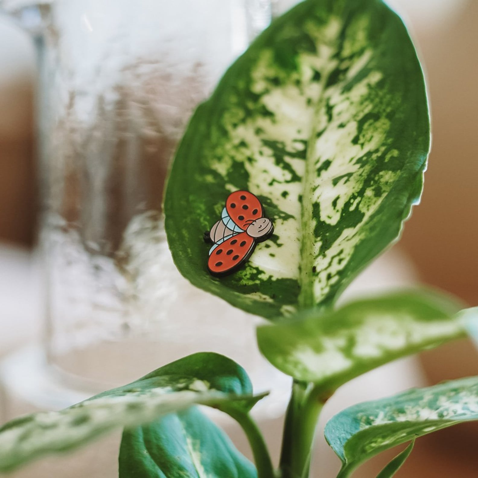 Shop Plant Pins For Your House Plants | PS Home