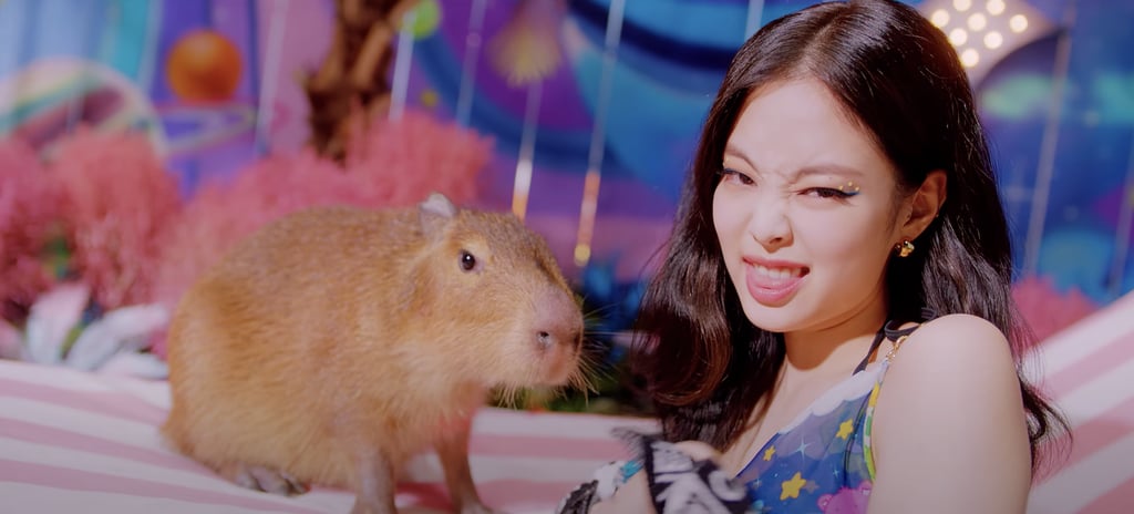 Here's the Capybara With Blackpink's Jennie | What's the Animal in ...
