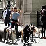 Daniel Radcliffe With Dogs on the Set of Trainwreck | POPSUGAR Celebrity