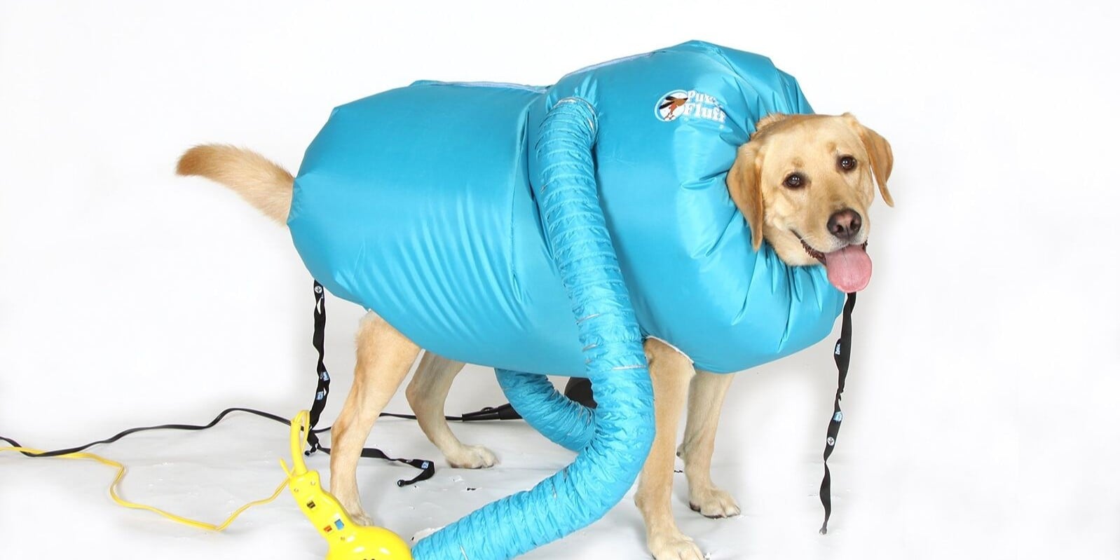 Puff-N-Fluff Dog Dryer | PS Family