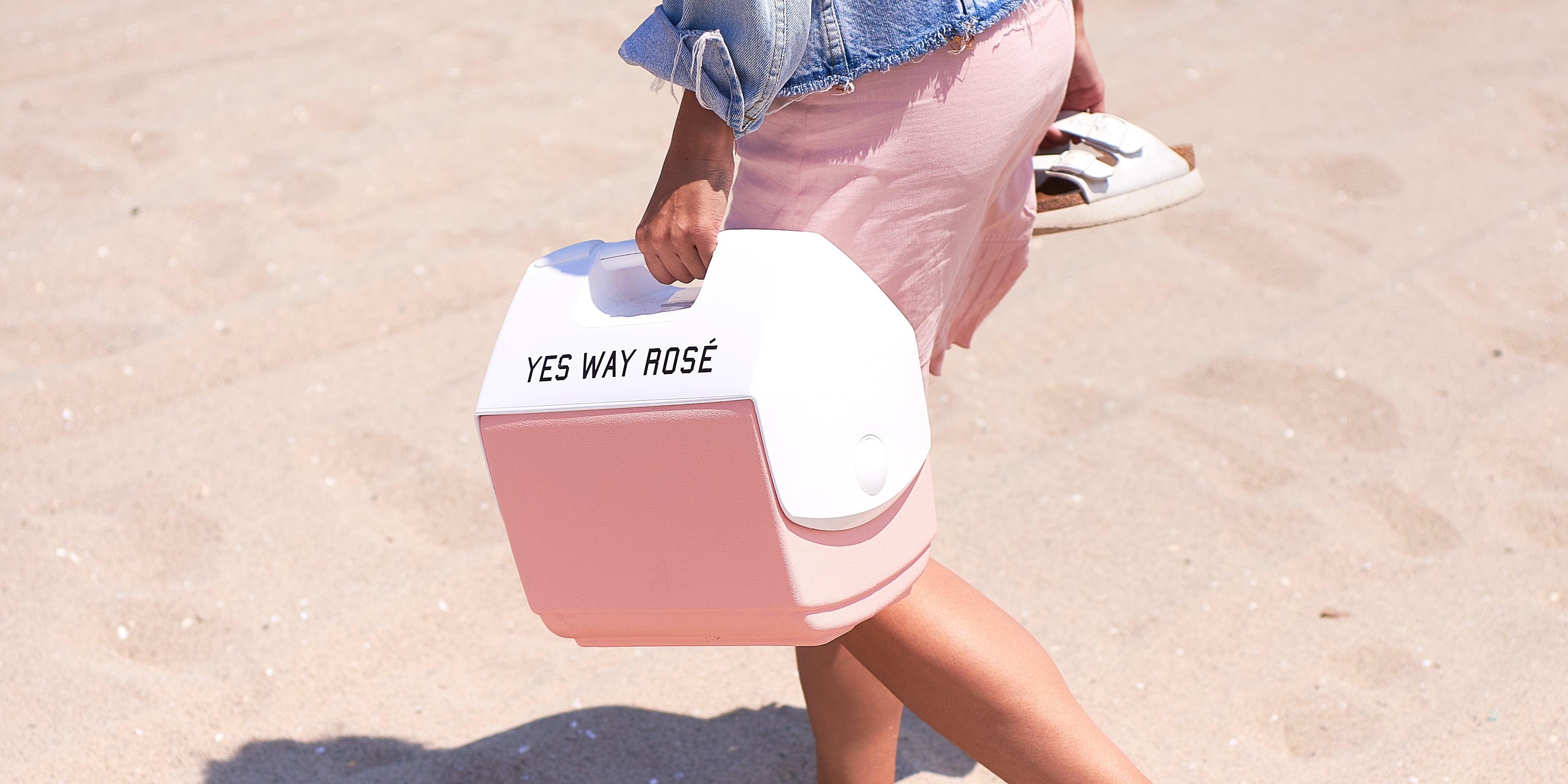 Shop the Most Stylish Coolers of 2021 | PS Smart Living