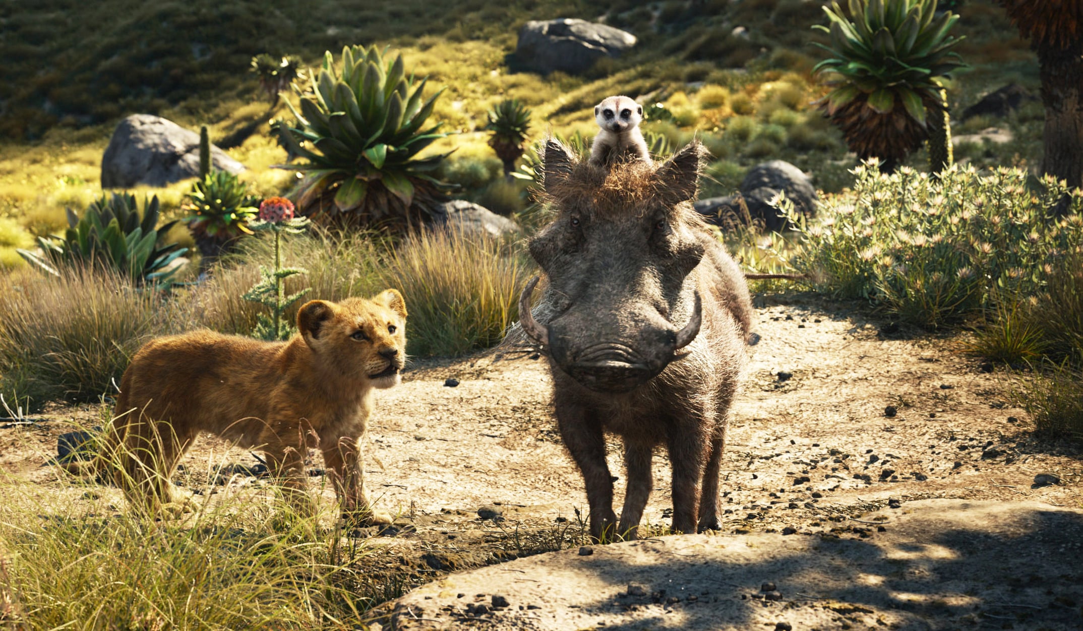 Where Does the Phrase Hakuna Matata Come From? | POPSUGAR Entertainment