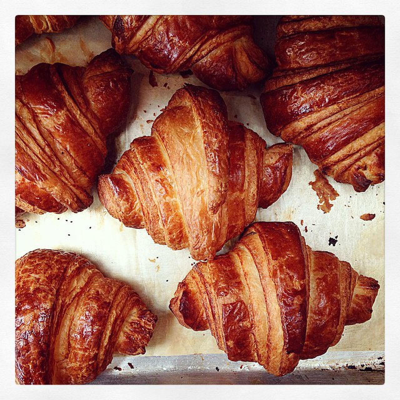 Best Chefs on Instagram | POPSUGAR Food