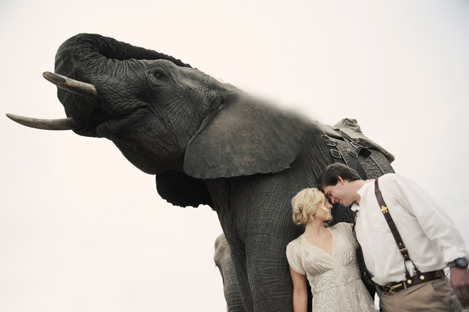 South African Safari Wedding With Elephants Popsugar Love And Sex