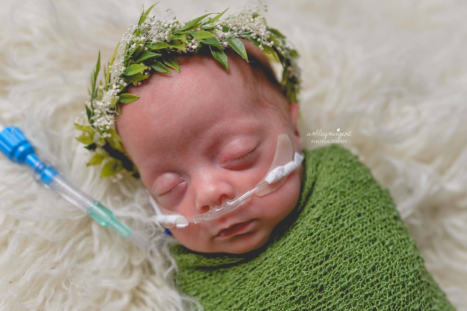 Rainbow Sextuplets Photo Shows Babies' Birth Order | PS Family