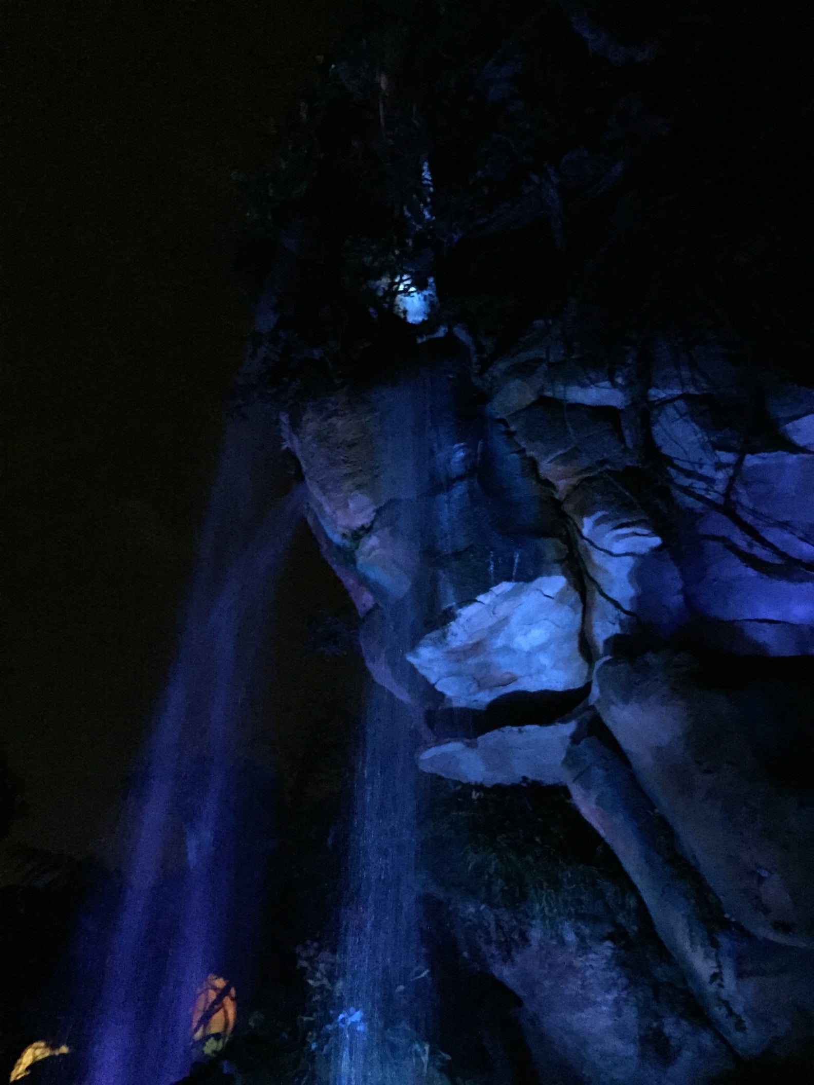 Pandora World of Avatar at Night | PS Smart Living