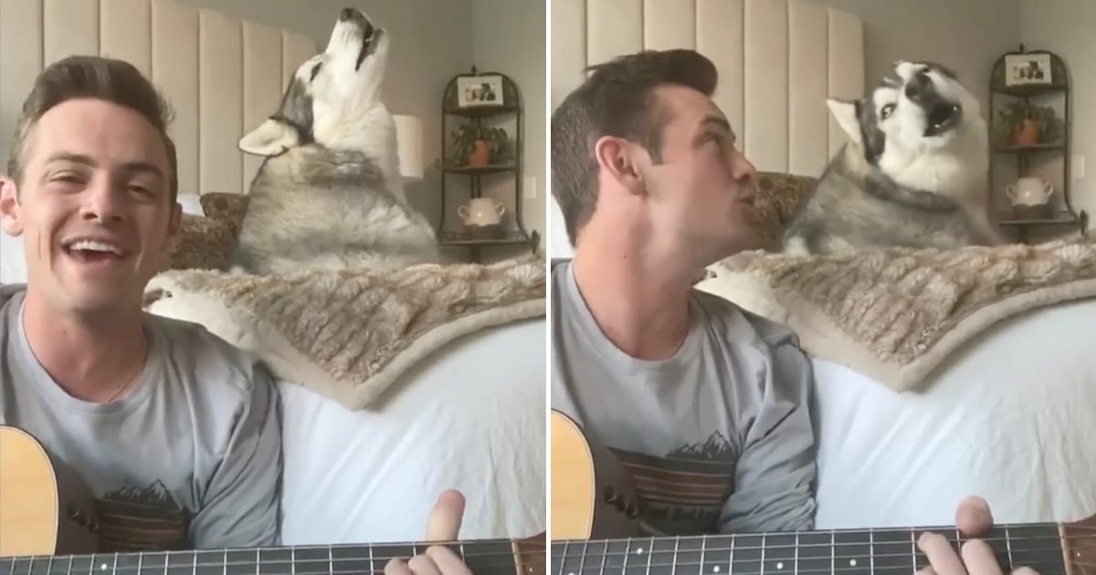 Hospital Worker Harmonizes With Husky For "Lean on Me" Cover | POPSUGAR ...