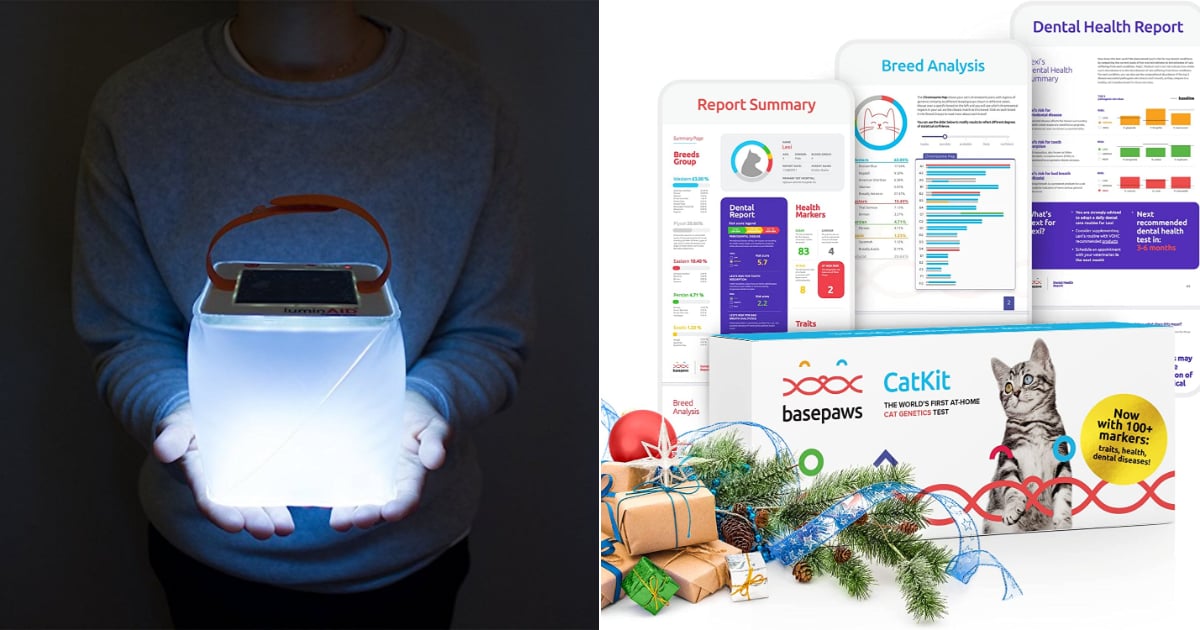 Best Shark Tank Gifts on Amazon 2021 | POPSUGAR Smart Living