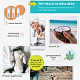 2017 Dog Trends | POPSUGAR Pets