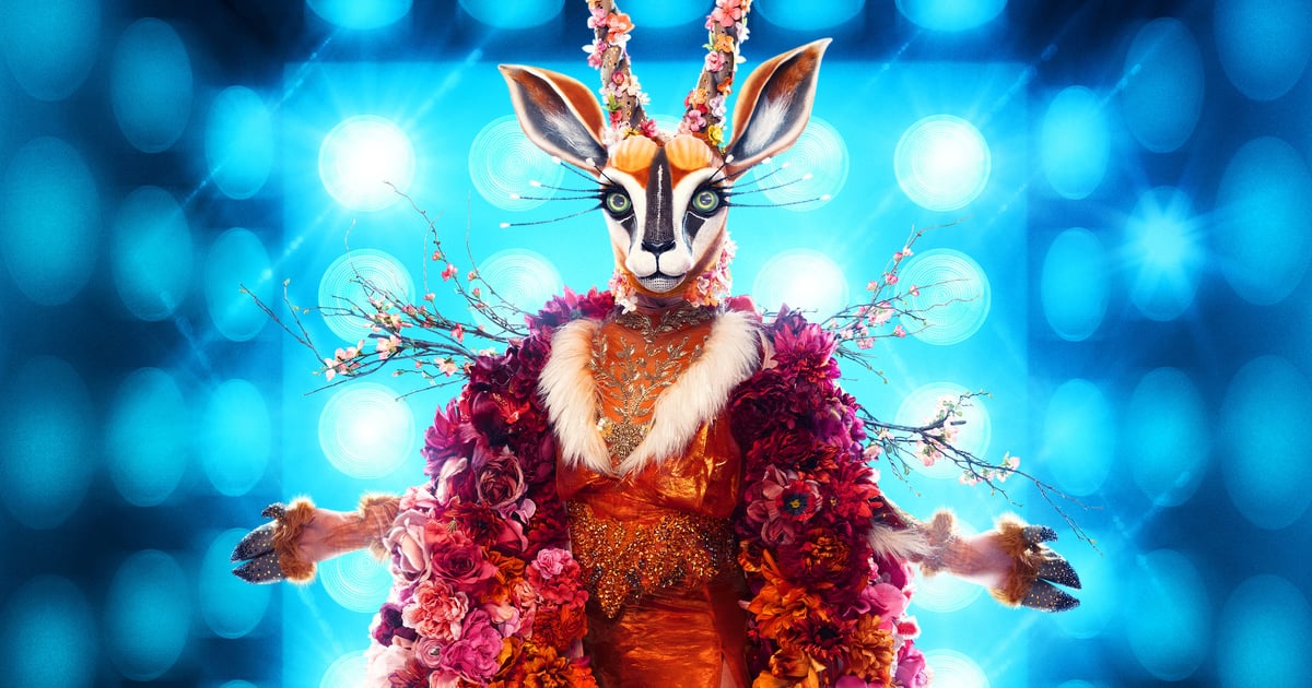 Who's Been Unmasked on The Masked Singer Season 10? | POPSUGAR ...
