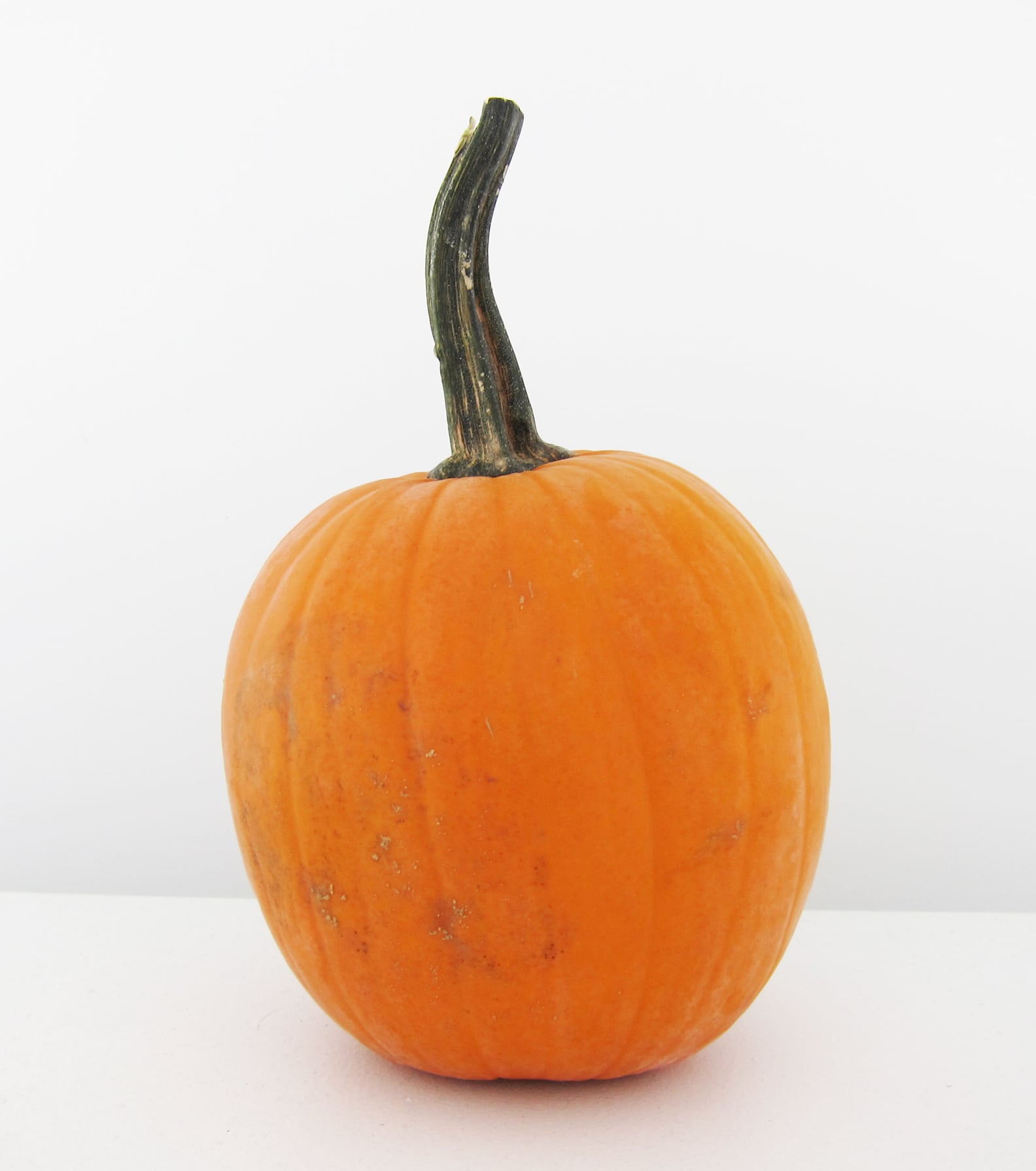 How to Make Metallic Studded Halloween Pumpkin | PS Fashion