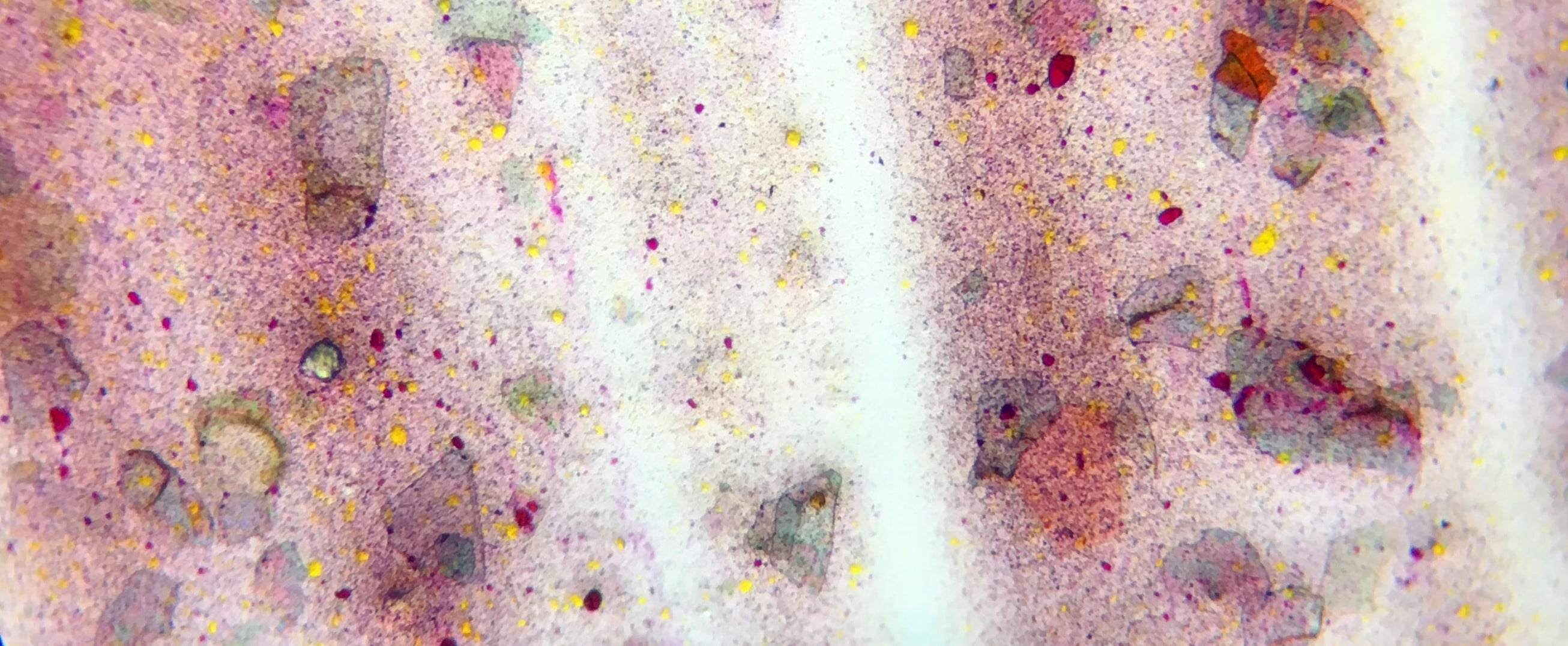 Lipsticks Under a Microscope | PS Beauty