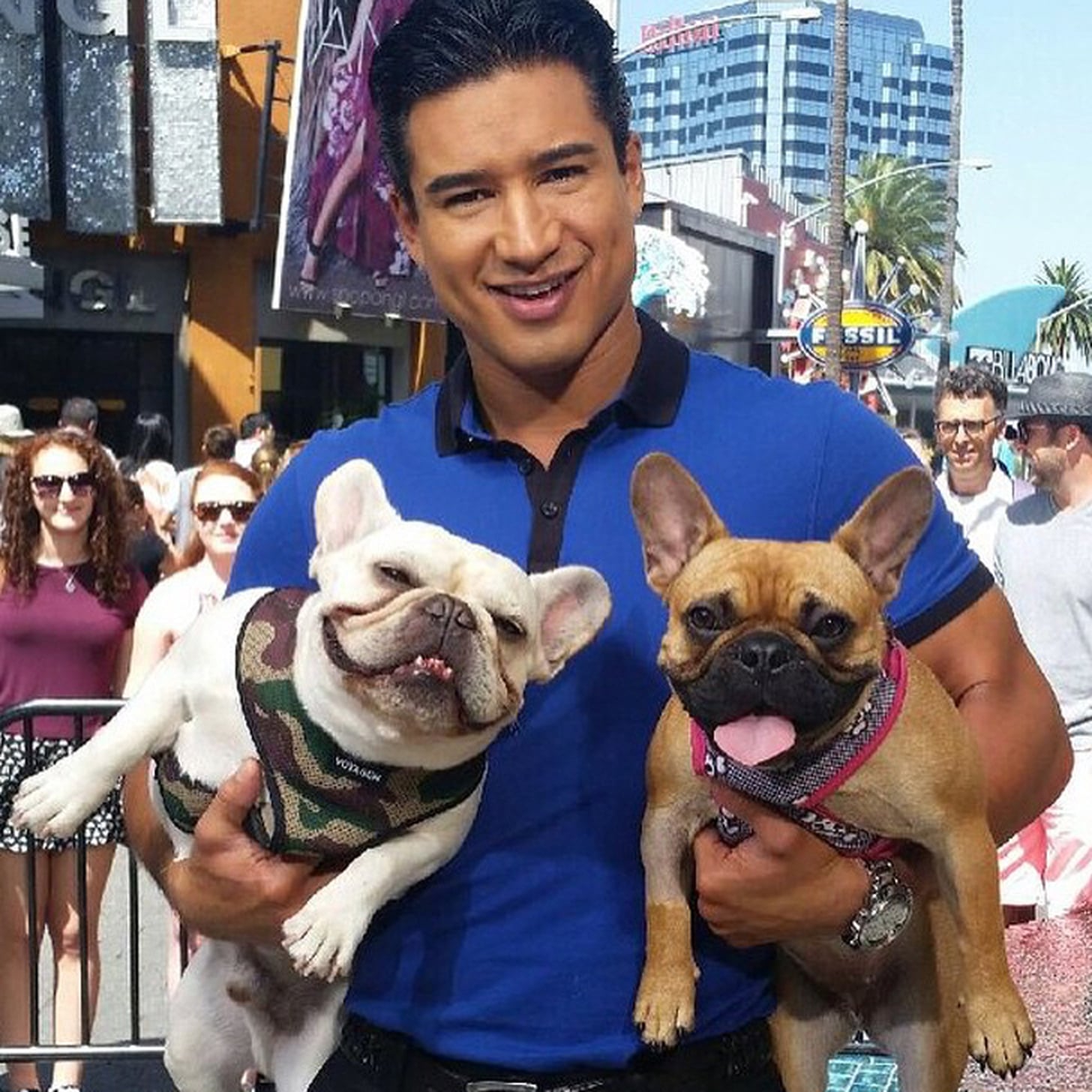 Mario Lopez's Dogs | PS Latina