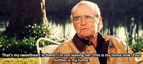 Best Moments From The Notebook | PS Entertainment