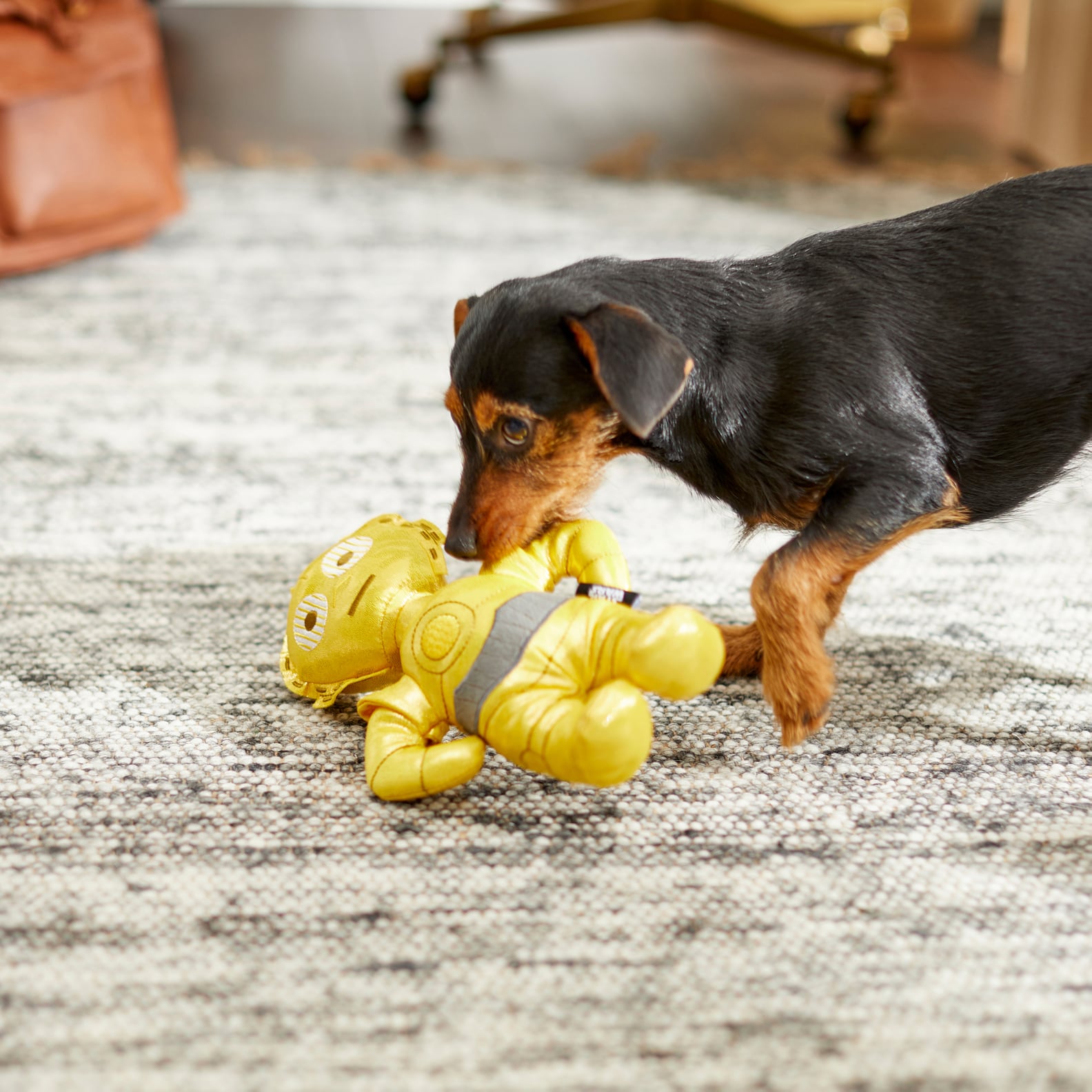 Chewy Disney, Pixar, Marvel, Star Wars Pet Products | PS Pets