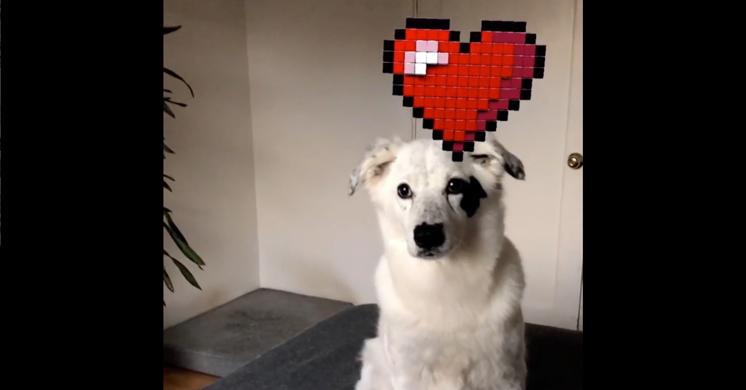 How Do I Use Facebook Messenger World Effects 3D Objects? | PS News