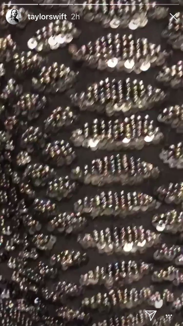 Taylor Swift Reputation Tour Costumes | PS UK Style