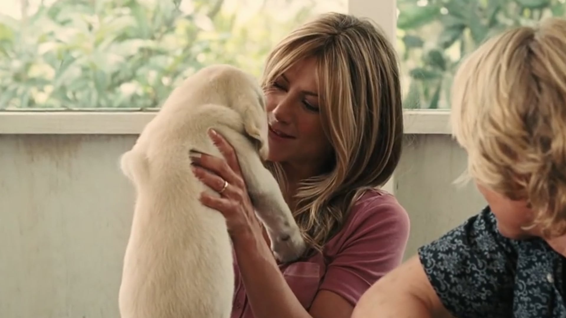 Can Dogs Understand Humans? | PS Pets