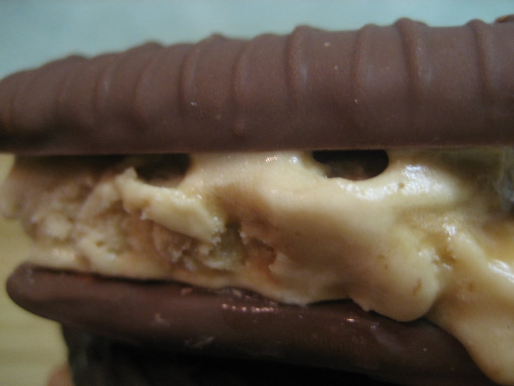 Dulce De Leche Ice Cream & Choco Covered Graham Cracker Sandwiches