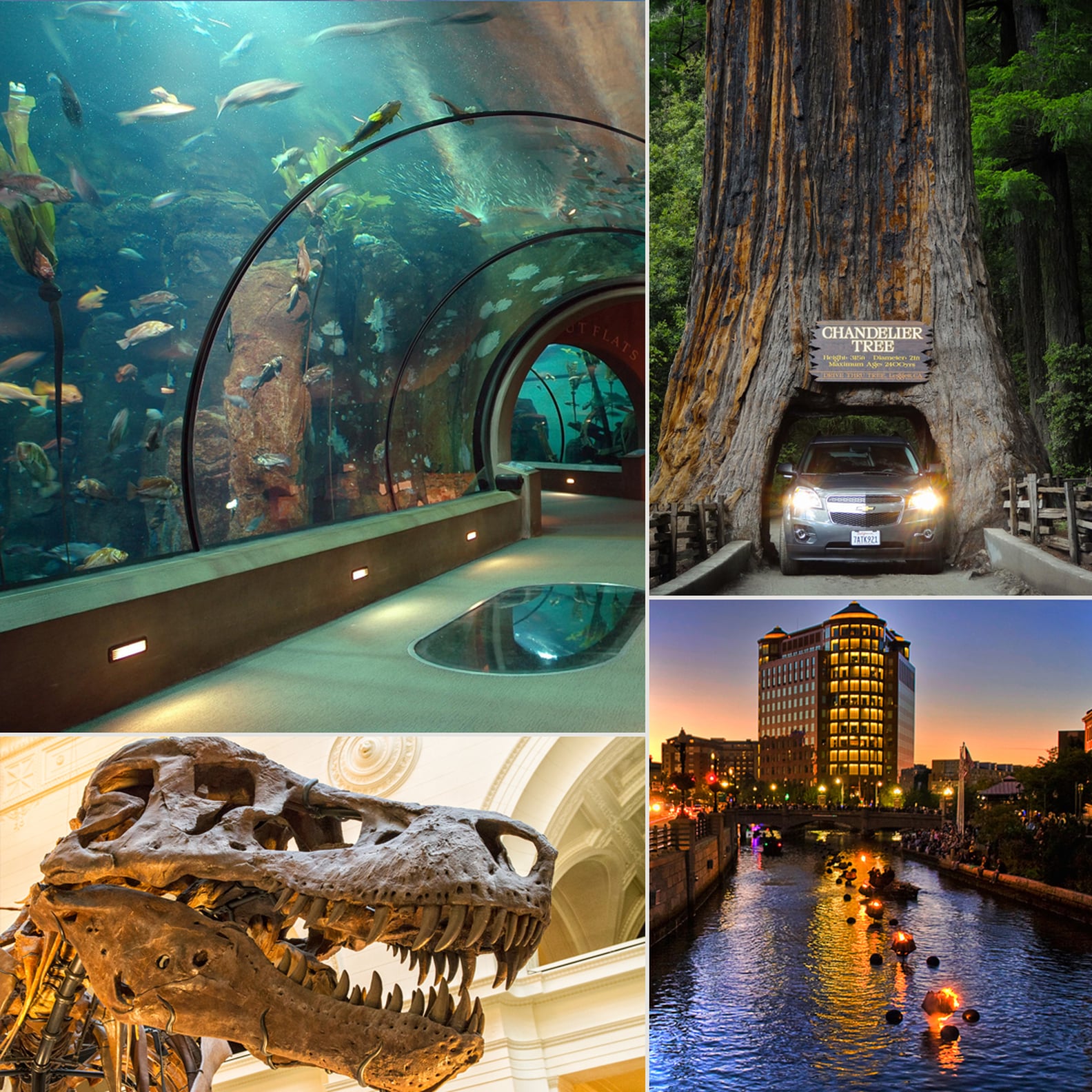Attractions For Kids and Families Around USA | PS Family