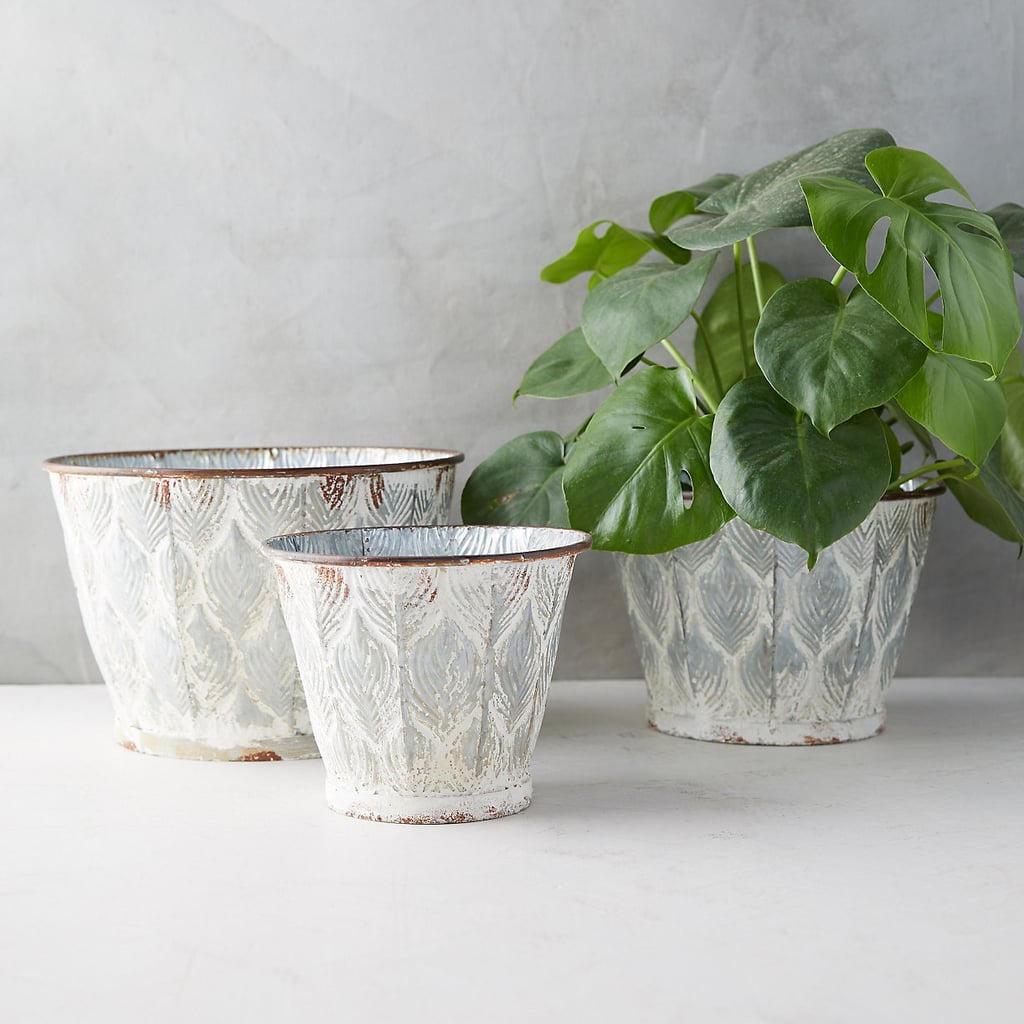 Best Outdoor Planters From Terrain | POPSUGAR Home UK