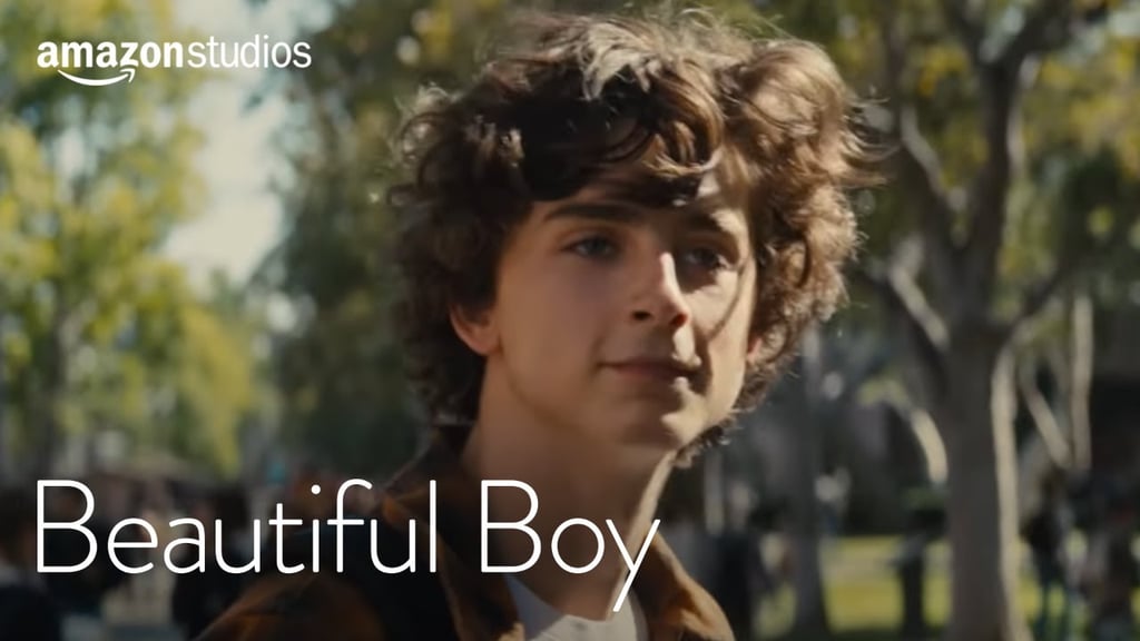 Beautiful Boy Trailer | POPSUGAR Entertainment