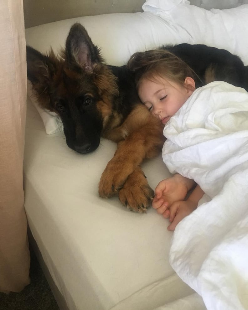 Cute Pictures of Dogs Napping With Kids and Babies | PS Family