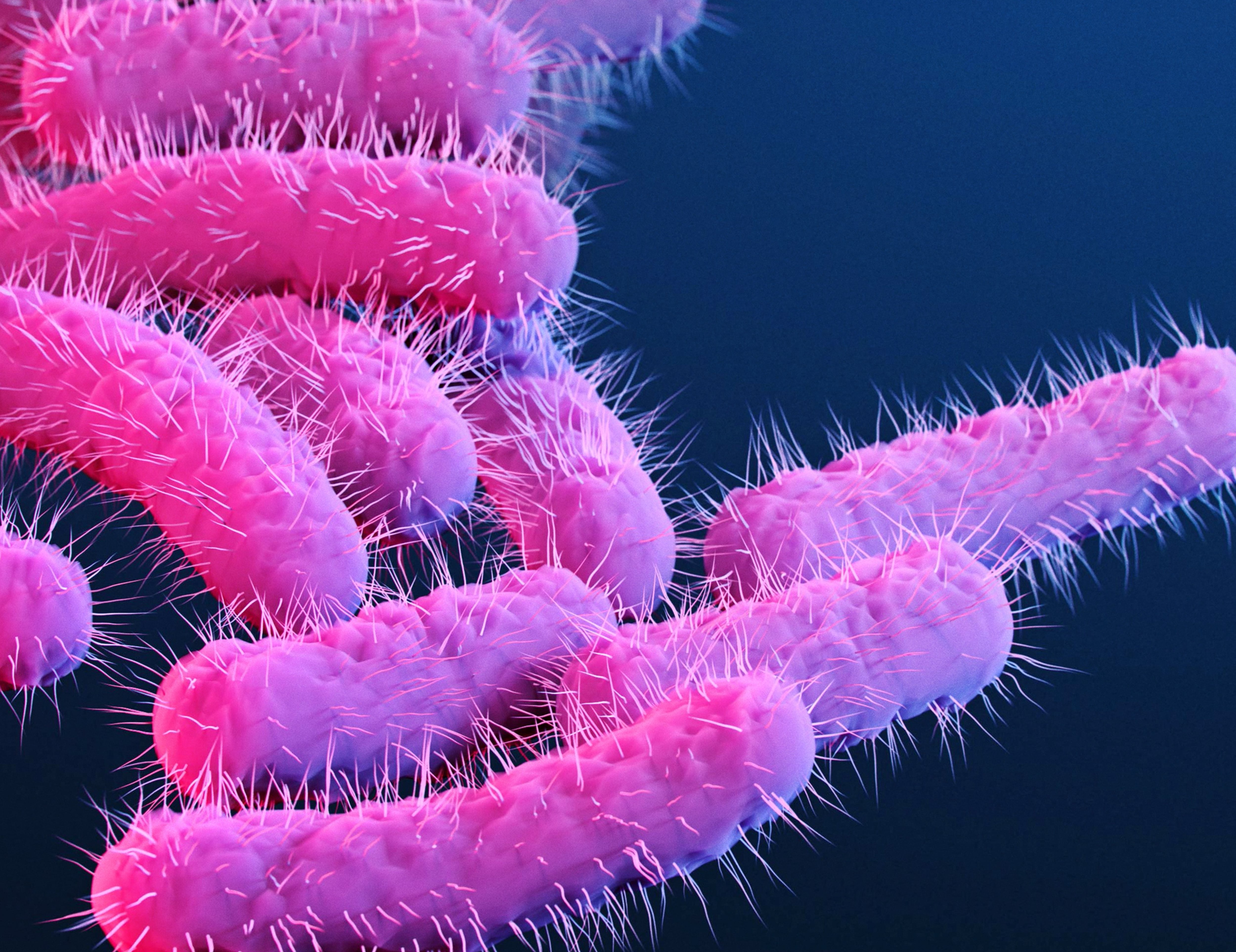 Shigella Infection: Symptoms, Causes, Treatment | POPSUGAR Fitness