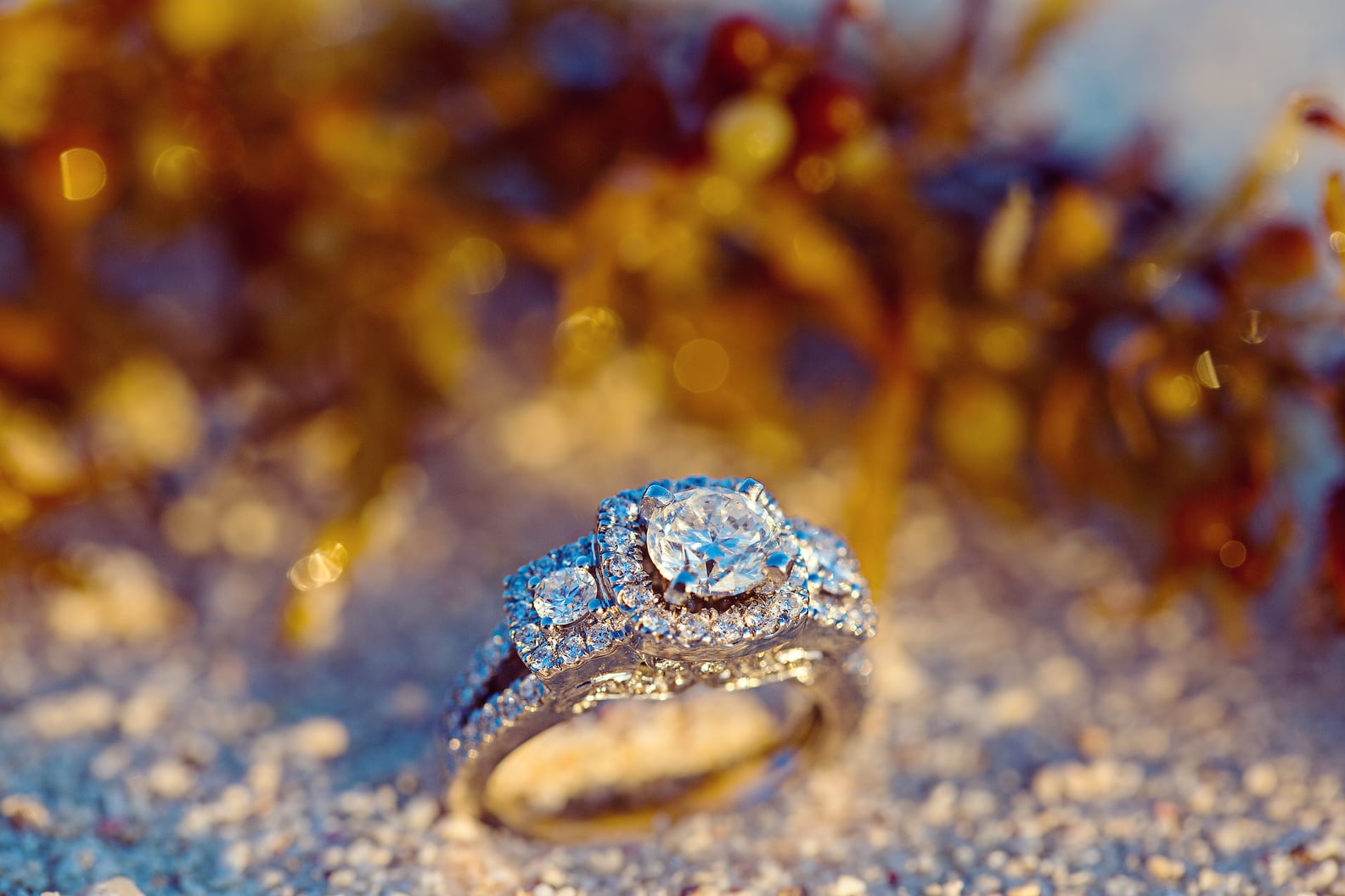 Engagement Ring Inspiration Photos | PS Love