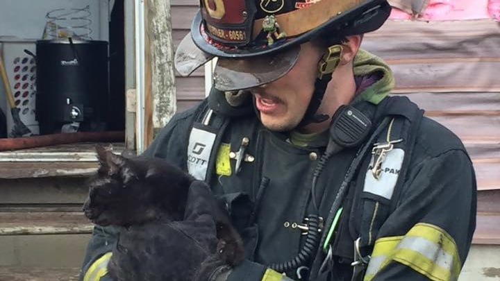 Firefighters Rescue Cats From House Fire | POPSUGAR Pets