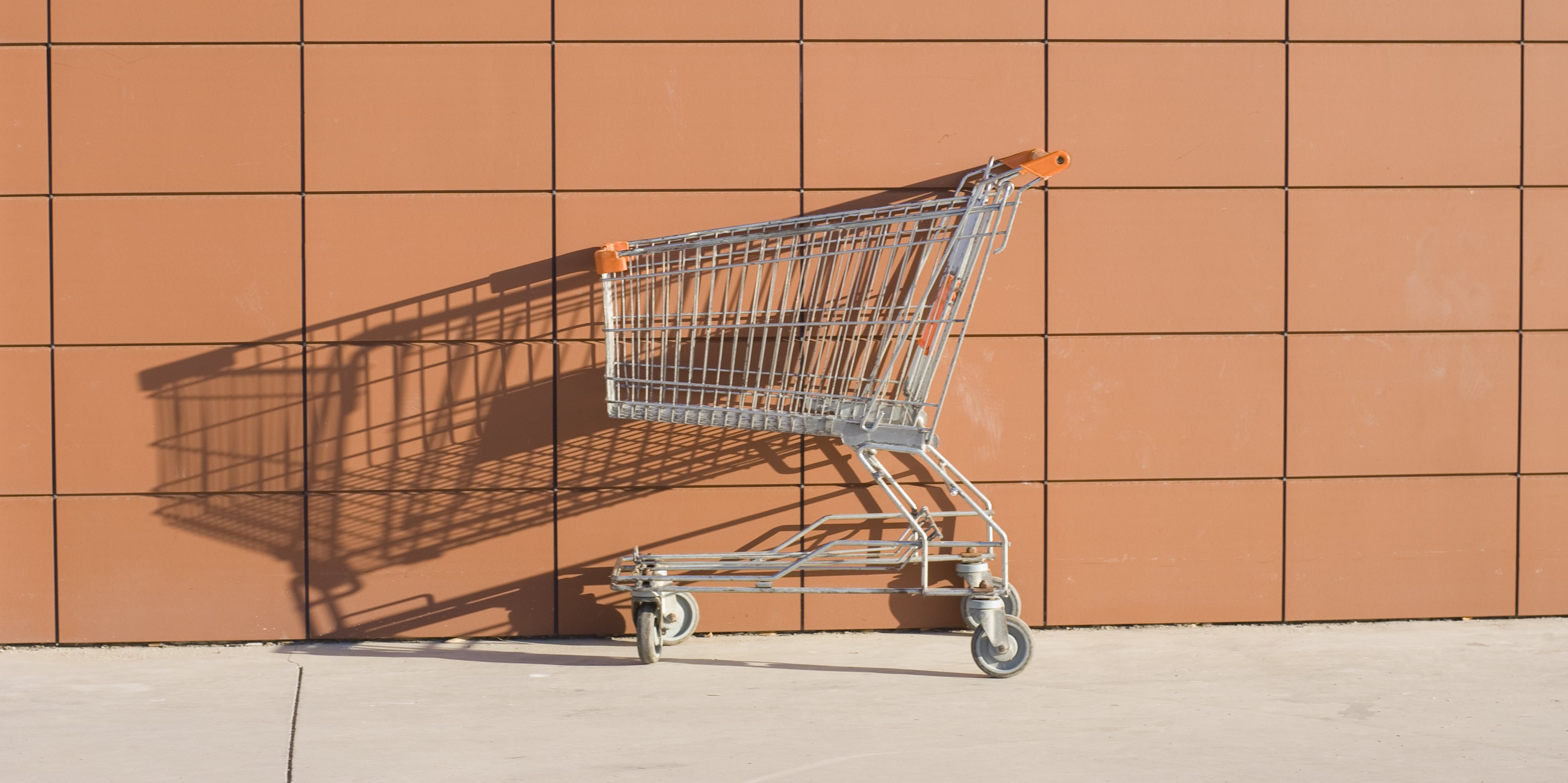 Shopping Cart Theory: Experts Explain What to Know | PS Balance