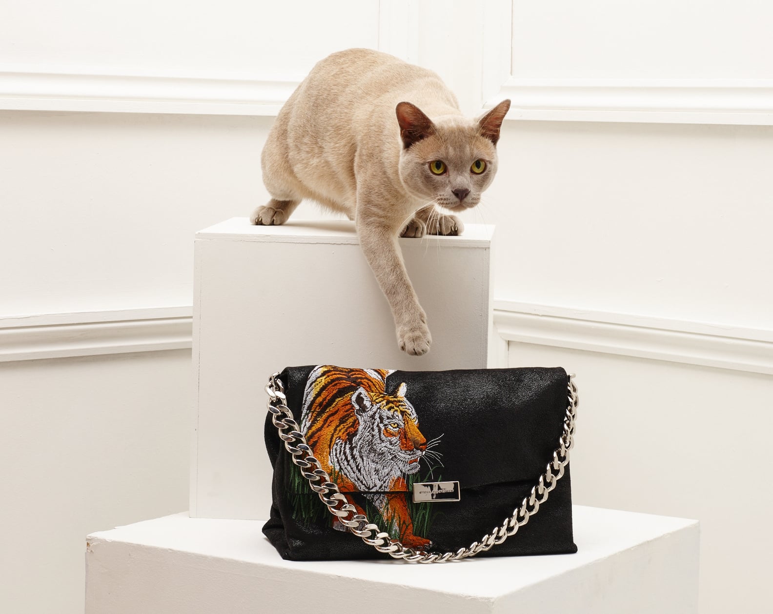 Stella McCartney Fall 2016 Collection | PS Fashion