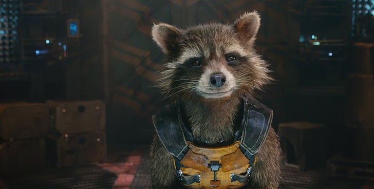 Rocket Raccoon | Marvel Movie Characters Over the Years Photos ...