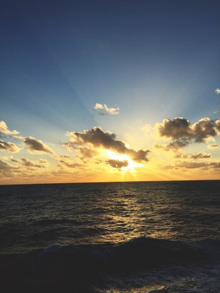 What It's Like to Study Abroad at Sea | PS Smart Living