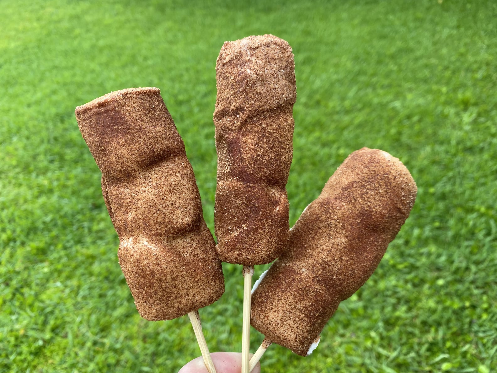 Disney's Marshmallow Churro Wand Recipe With Photos | PS Food