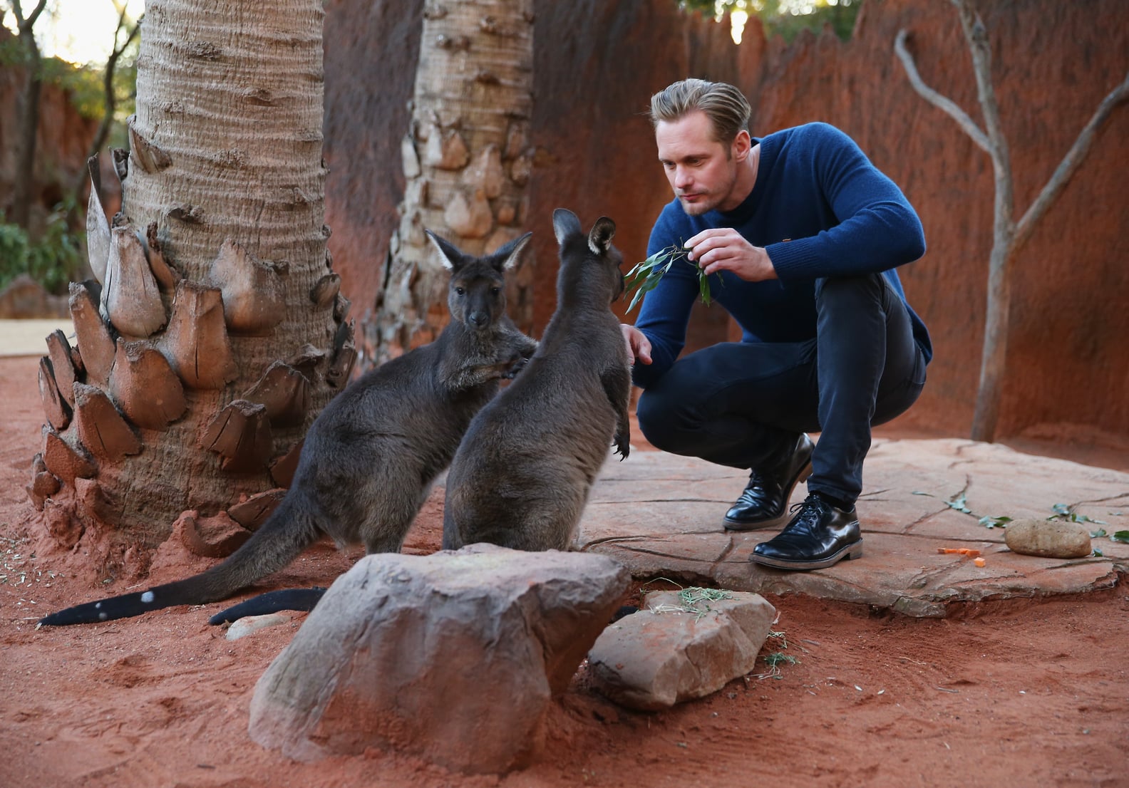 Alexander Skarsgard Playing With Zoo Animals | PS Celebrity