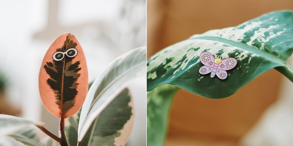 Shop Plant Pins For Your House Plants | PS Home