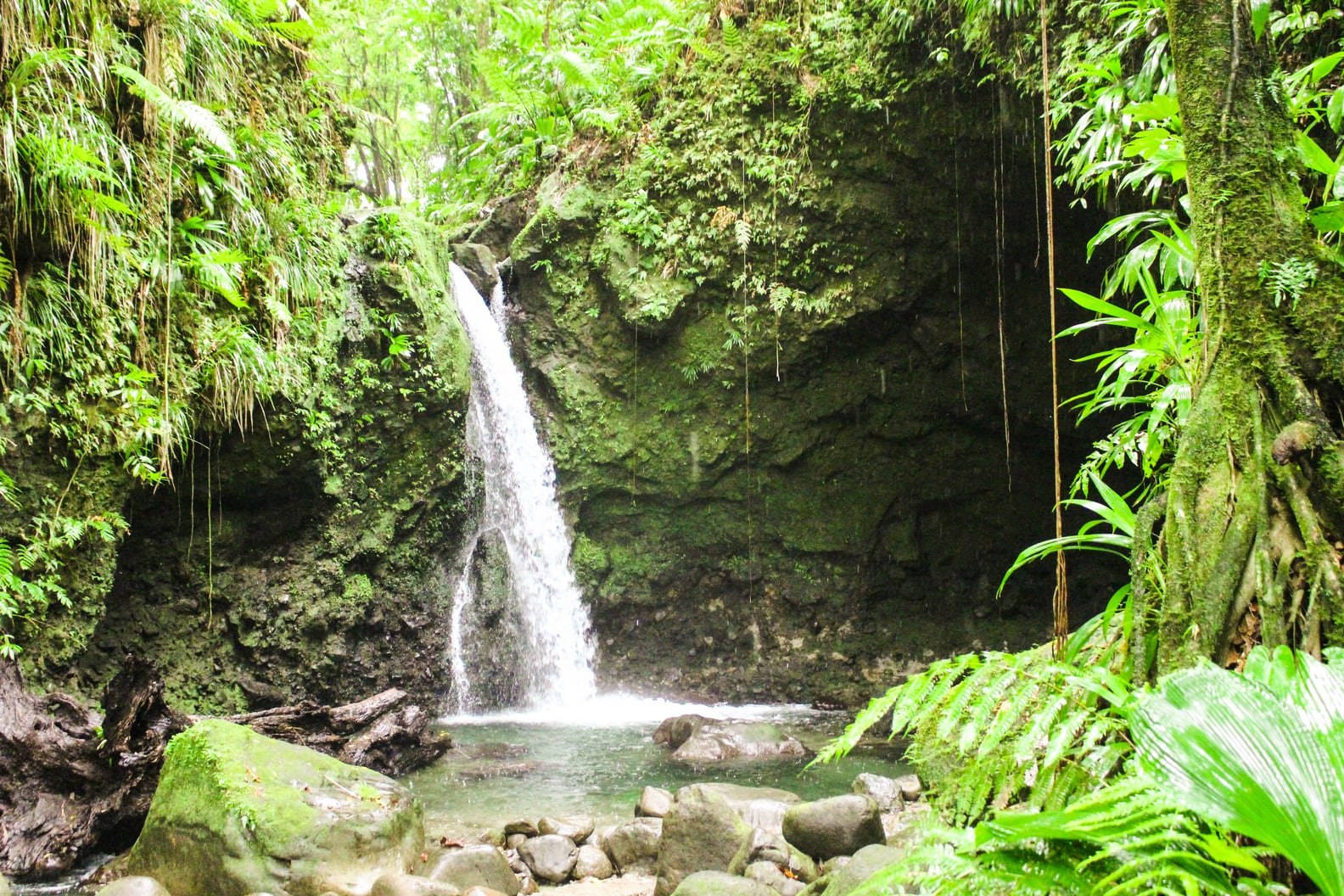 Dominica Travel Tips | PS Smart Living