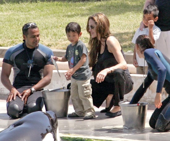 Angelina Jolie And Brad Pitt Adopted Pax Jolie Pitt From Vietnam In