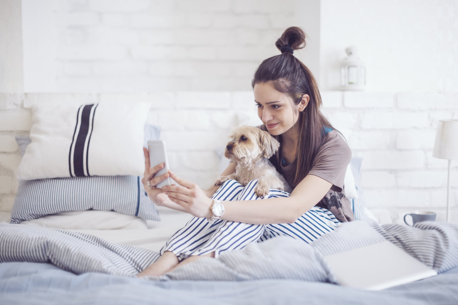 Do Dogs Understand Phone and Video Calls? | PS Pets