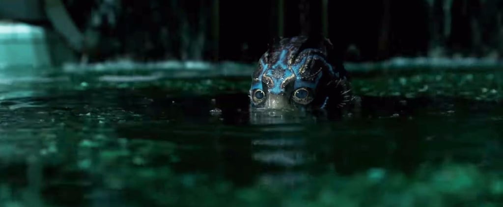 Shape of Water | POPSUGAR Entertainment