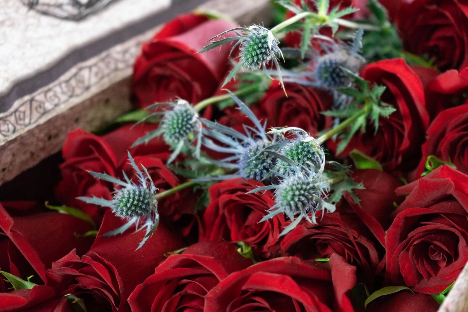 These Nightmare Before Christmas Flowers Come in a Coffin | PS Love