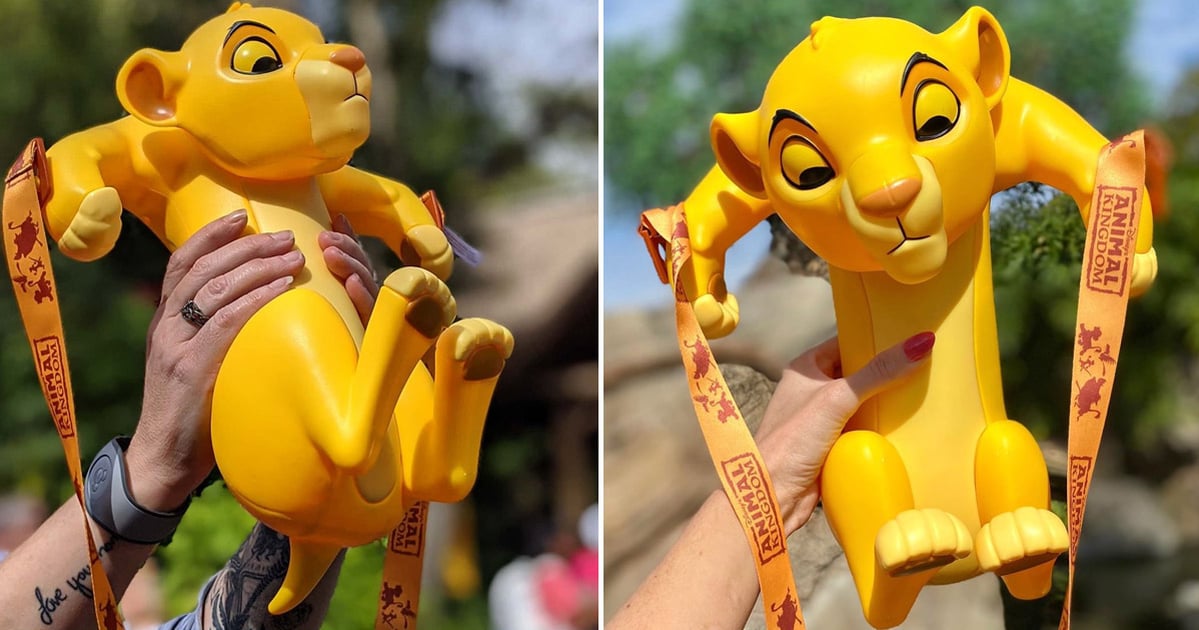 Disney World Is Selling a Simba Popcorn Bucket | POPSUGAR Food