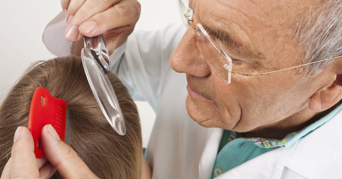 New Strain of Super Lice | PS Family