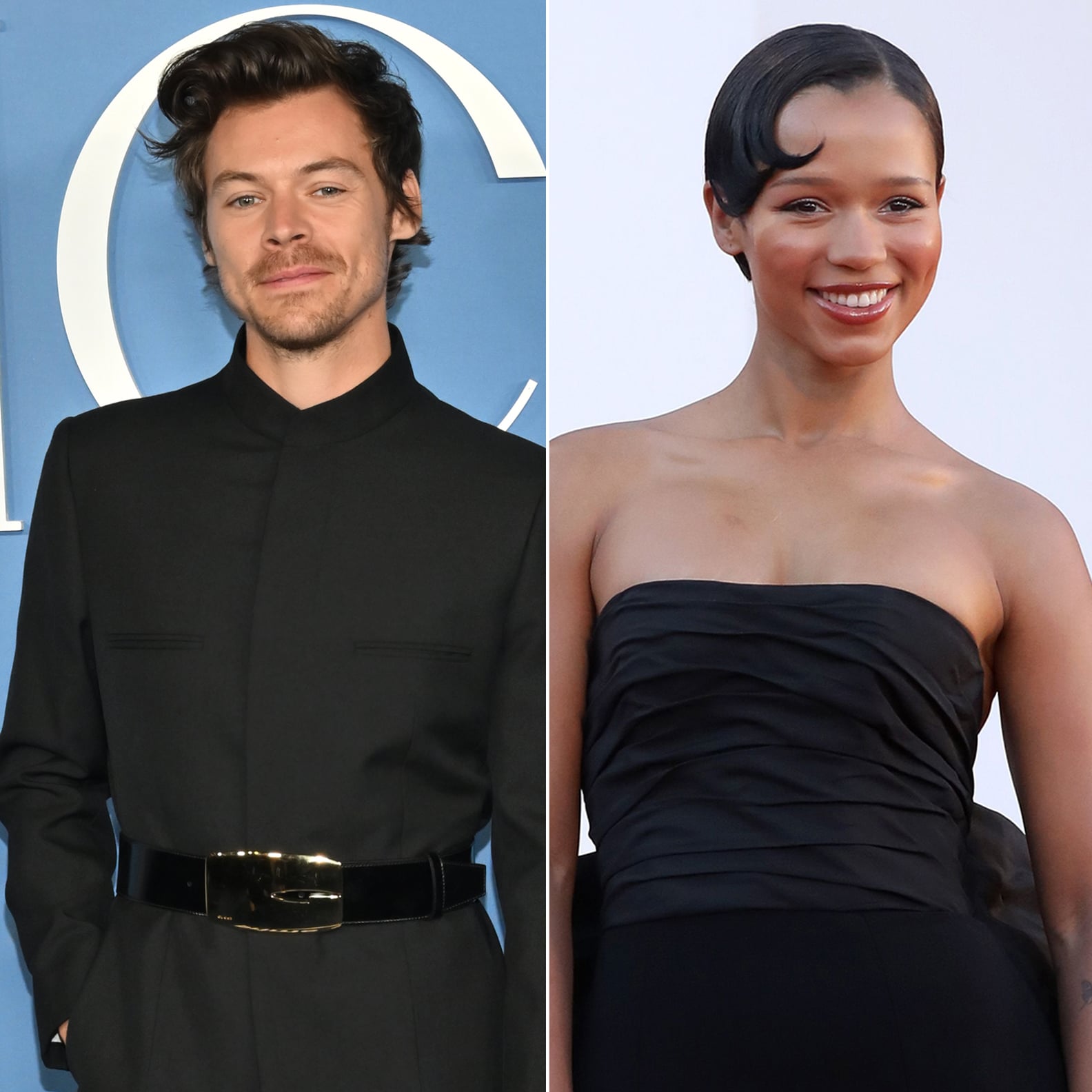 Are Harry Styles and Taylor Russell Dating? | PS Celebrity