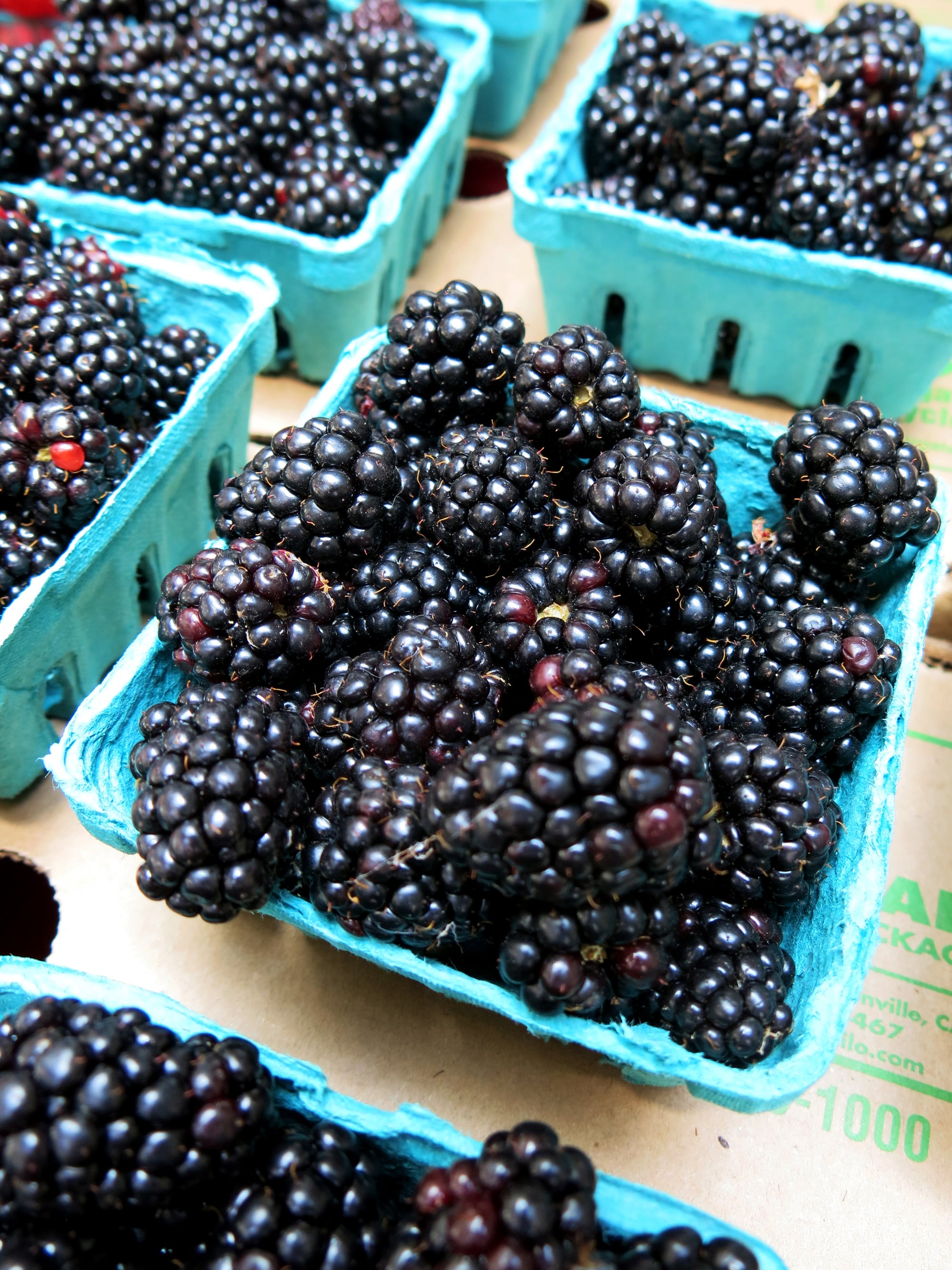 Low Carb Fruits POPSUGAR Fitness