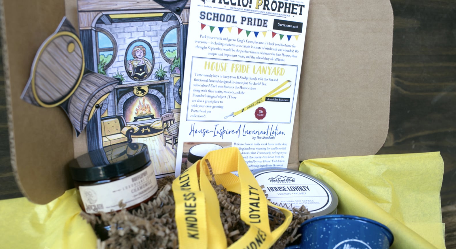 Harry Potter Subscription Boxes | PS Tech