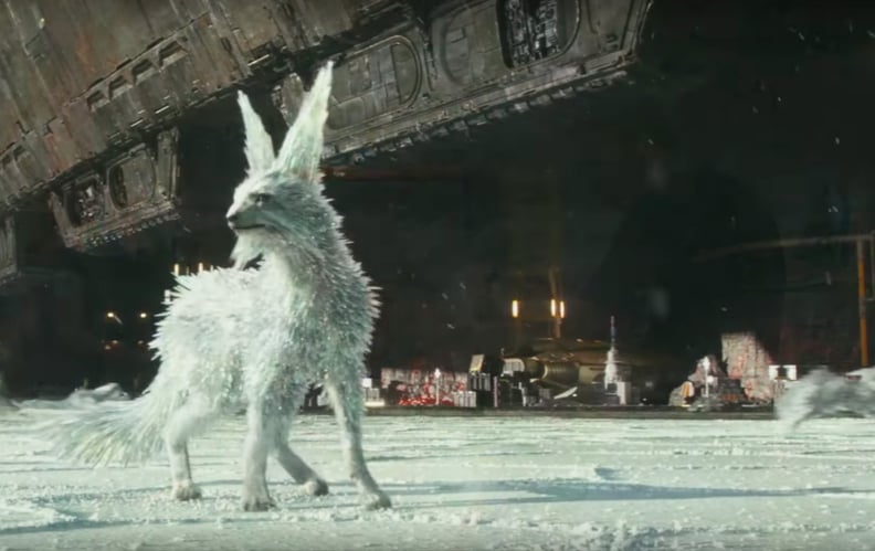 What Is a Vulptex in Star Wars? | PS Entertainment
