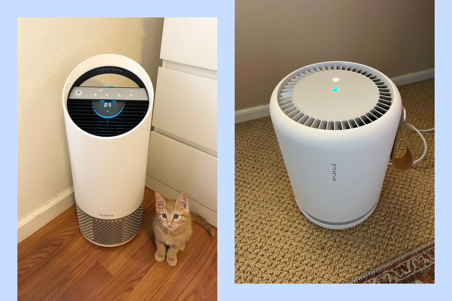 Best and Top-Rated Air Purifiers | PS Smart Living